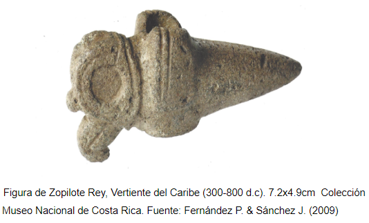 ¿Los Zopilotes son aves sagradas? – Mr Birding®